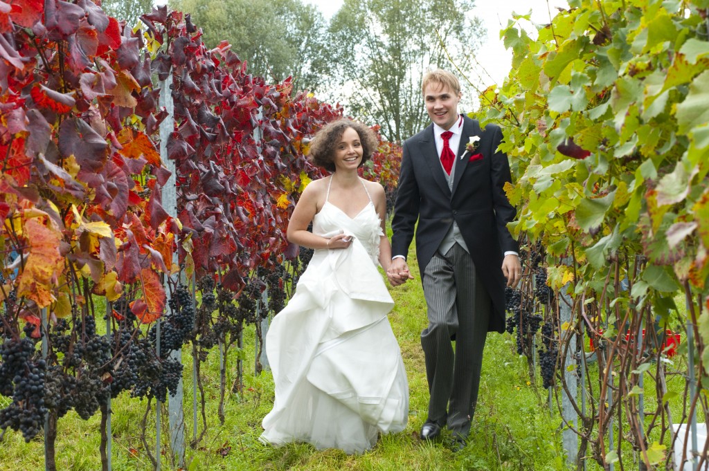 Wines in Belgium – Tourism and events